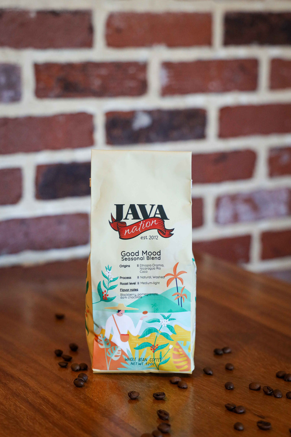 Java Nation